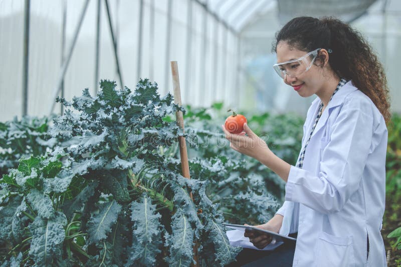 Agriculture Plant Science Technology Research and Development Concept ...