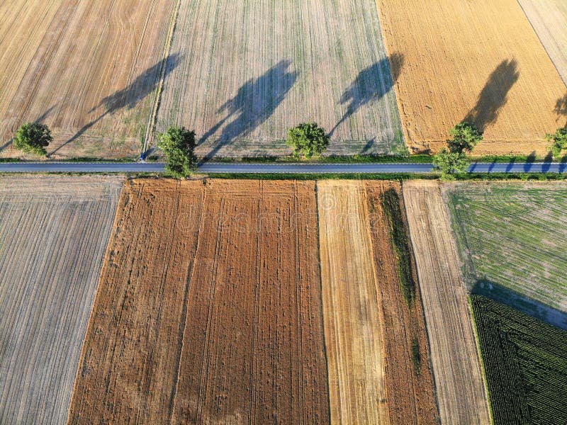 Agriculture in Poland. Harvester on Field Stock Image - Image of ...