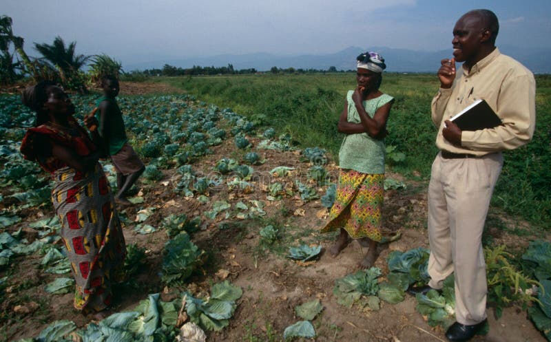 Agriculture Project in Uganda Editorial Stock Photo - Image of help ...