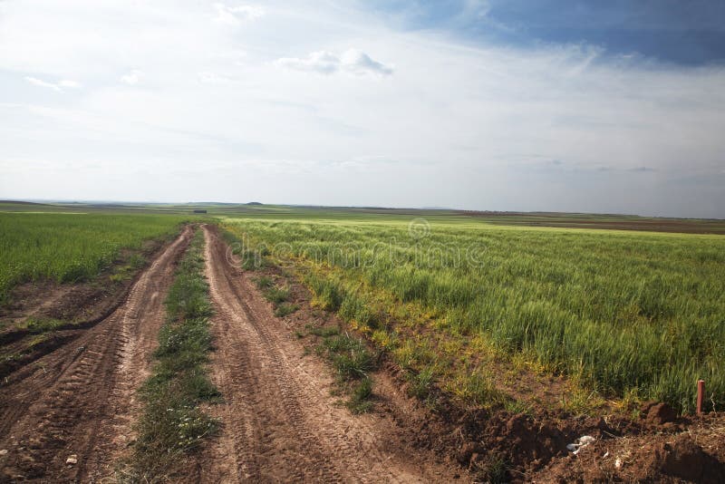 Agriculture road stock photo. Image of field, tread, mancha - 5147618