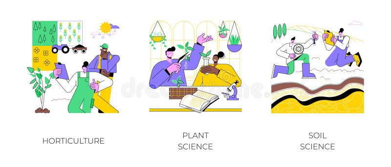Agriculture Studies Isolated Cartoon Vector Illustrations. Stock Vector ...