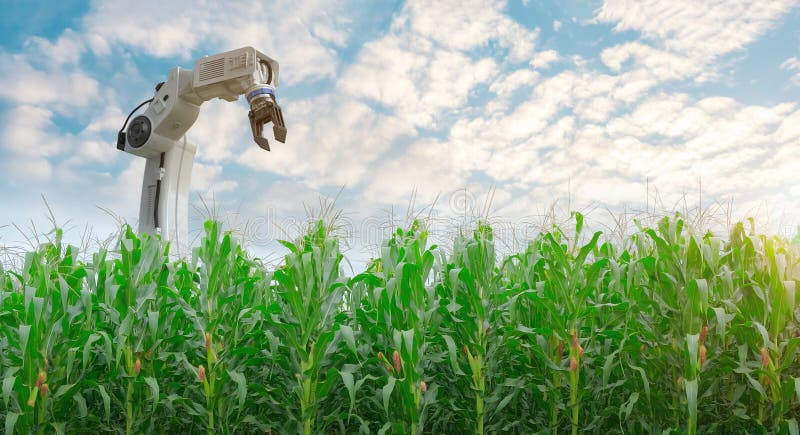 Agriculture Technology Concept with Robotic Arm on Field Stock ...