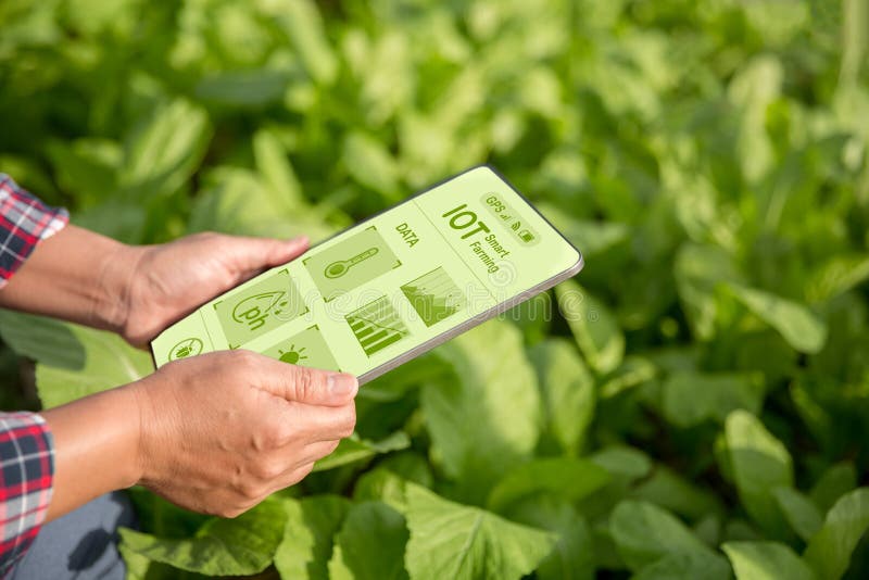 Agriculture Technology Farmer Holding Digital Tablet or Tablet ...