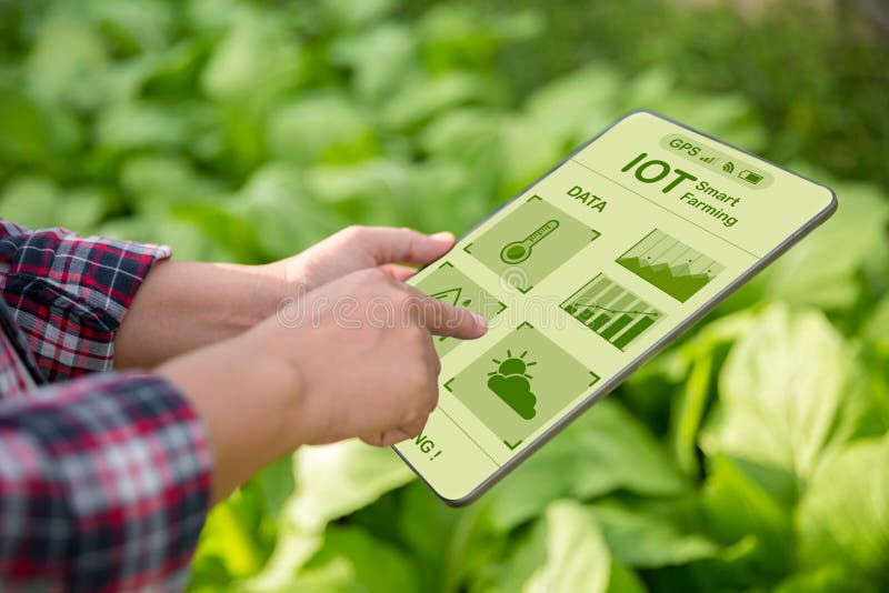 Agriculture Technology Farmer Holding Digital Tablet or Tablet ...