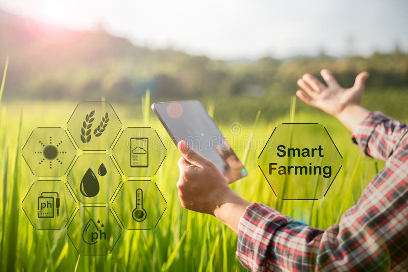 Agriculture Technology Farmer Holding Digital Tablet or Tablet ...