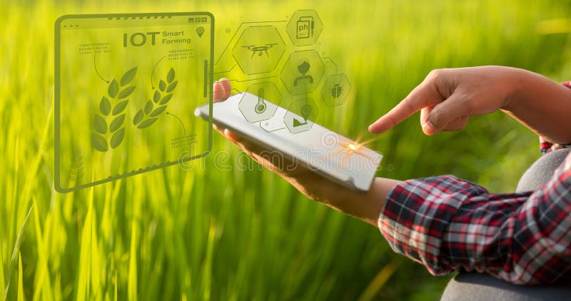 Agriculture Technology Farmer Holding Digital Tablet or Tablet ...