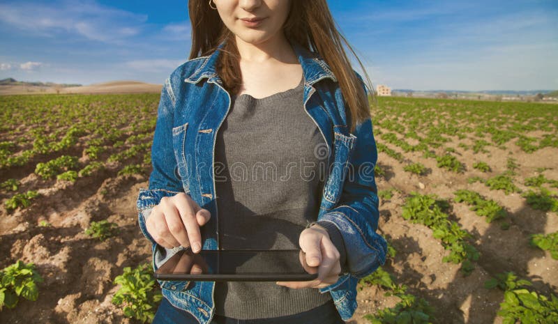Agriculture Technology Farmer Person Using Tablet Computer Stock Image ...