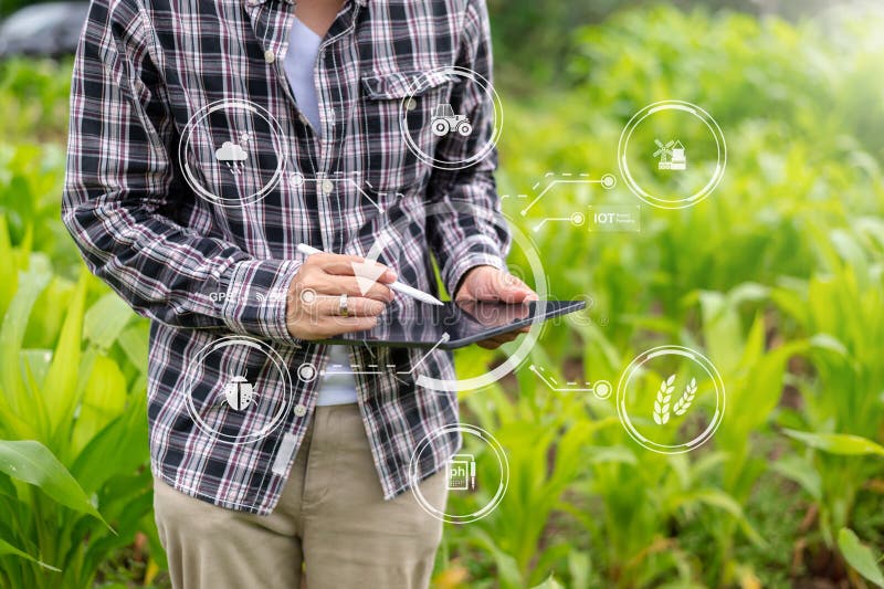 Agriculture Technology Farmer Woman Holding Tablet or Tablet Technology ...