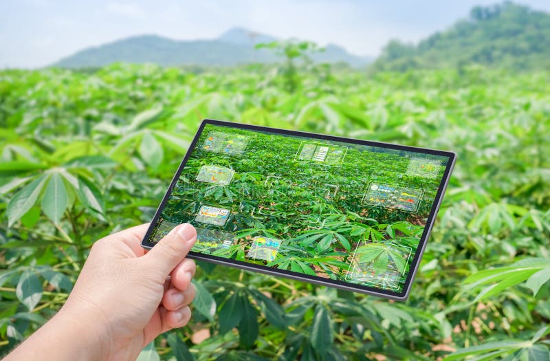 Agriculture Technology with Smart Farm Connect To Digital Tablet Stock ...