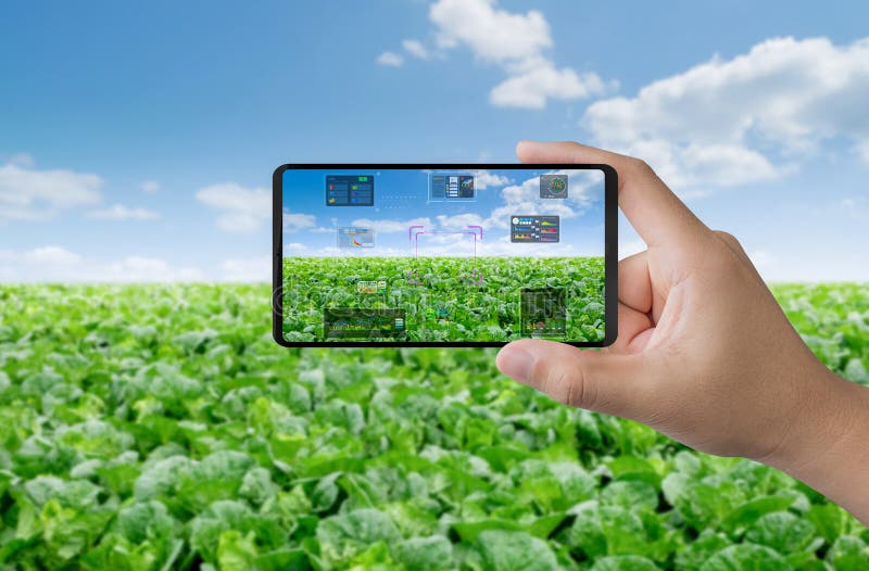 Agriculture Technology with Smart Farm Connect To Mobile Phone Stock ...