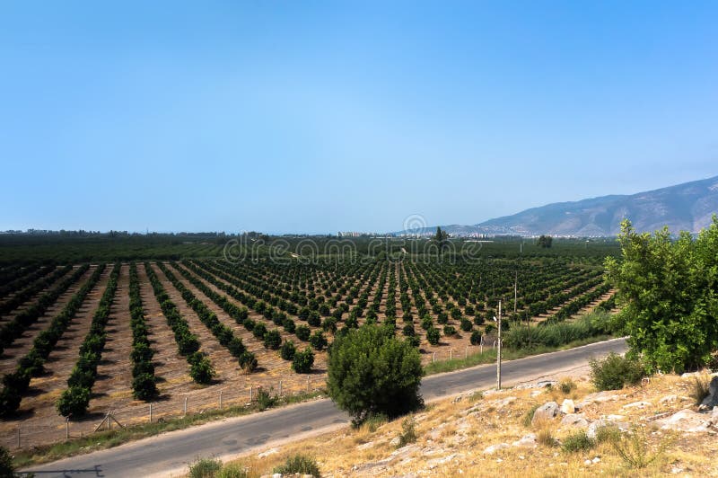 Agriculture in Turkey stock image. Image of landscape - 58884783