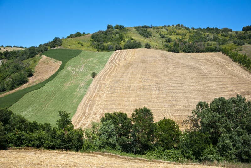 Agriculture in Tuscany - Italy Stock Image - Image of field, cypress ...