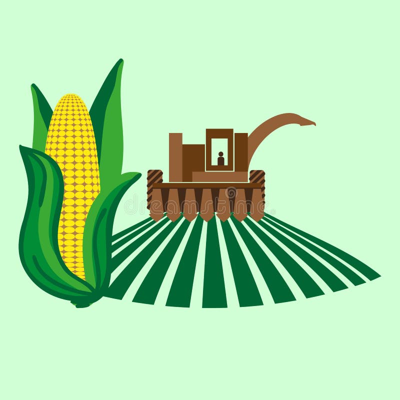 Vector Agriculture Illustration of a Field of Corn Harvester Stock ...