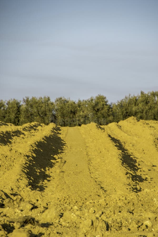 Agriculture stock image. Image of agricultural, farmers - 139592109