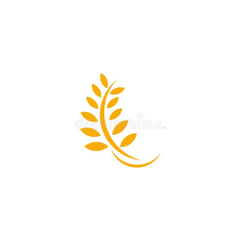 Wheat Flour Agriculture Logo Design Vector Template Stock Vector ...