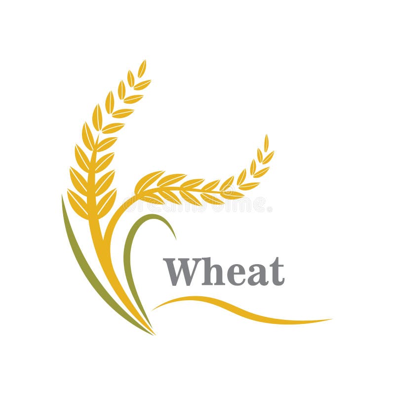 Agriculture Wheat Logo or Symbol Icon Design Illustration Stock Vector ...