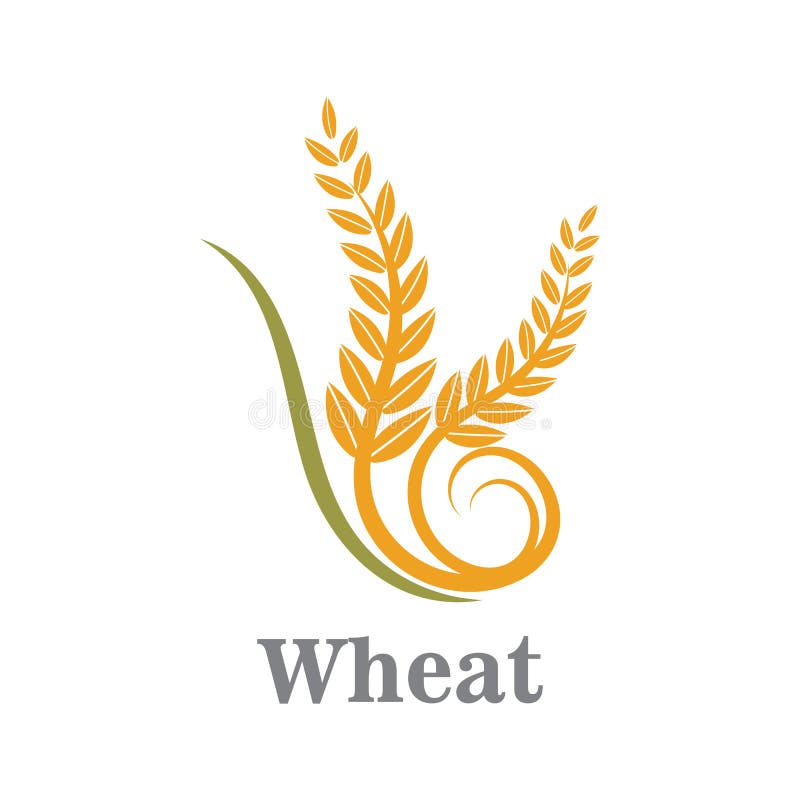 Agriculture Wheat Logo or Symbol Icon Design Illustration Stock Vector ...