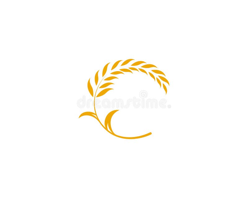 Agriculture Wheat Rice Icon Template Vector Design Stock Illustration ...