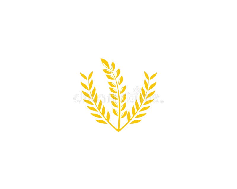 Agriculture Wheat Rice Icon Template Vector Design Stock Illustration ...