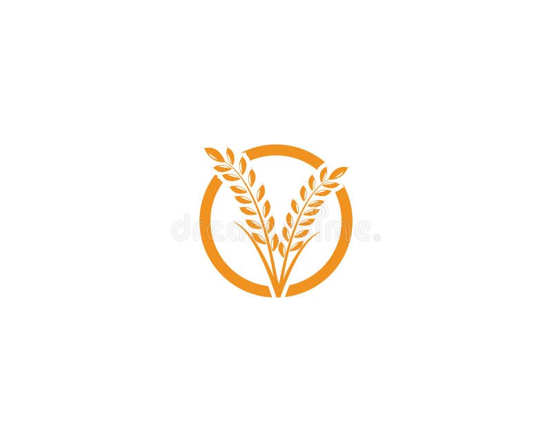 Agriculture Wheat Rice Icon Template Vector Design Stock Illustration ...