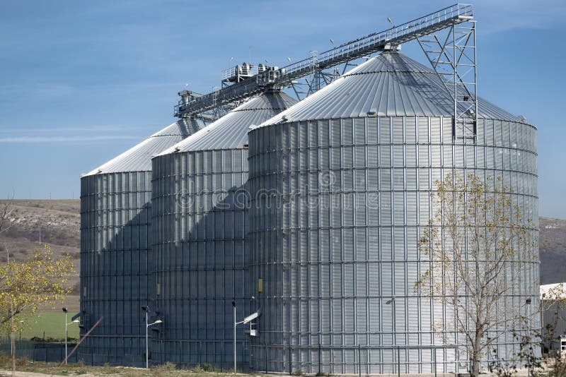 Agriculture wheat silos stock photo. Image of construction - 66006682