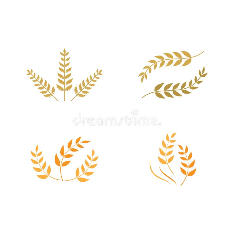 Agriculture wheat vector stock vector. Illustration of harvest - 260228125