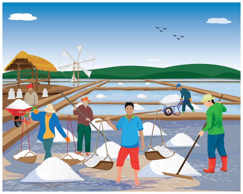 Paddy Field Vector Stock Illustrations – 1,940 Paddy Field Vector Stock ...