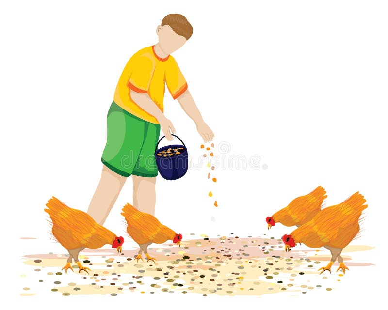 Chicken Feed Clipart