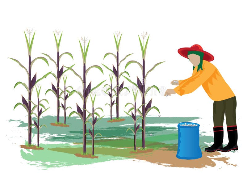 Fertilizer Plant Stock Illustrations – 7,170 Fertilizer Plant Stock ...