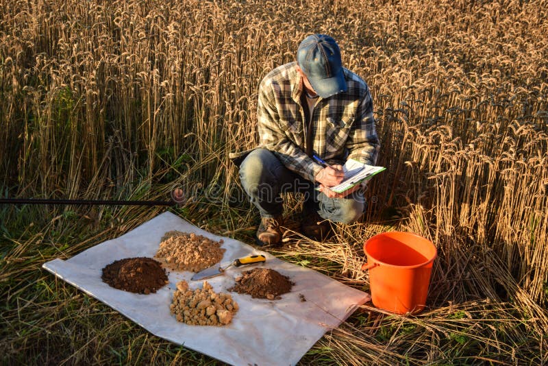Agriculturist Taking Notes in Soil Sampling Information Sheet at Field ...