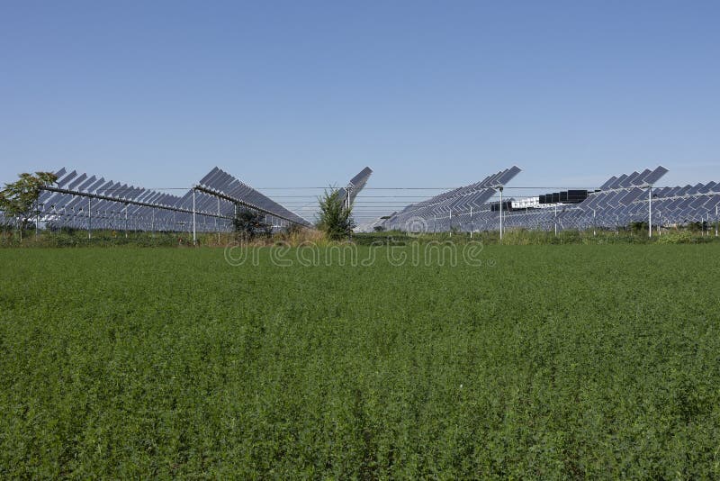 Agrivoltaic stock photo. Image of orientated, electricity - 228971194