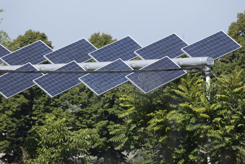 Agrivoltaic stock photo. Image of silicon, electricity - 228971256