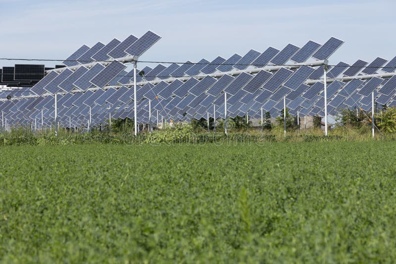 Agrivoltaic stock photo. Image of delivery, renewable - 228971406