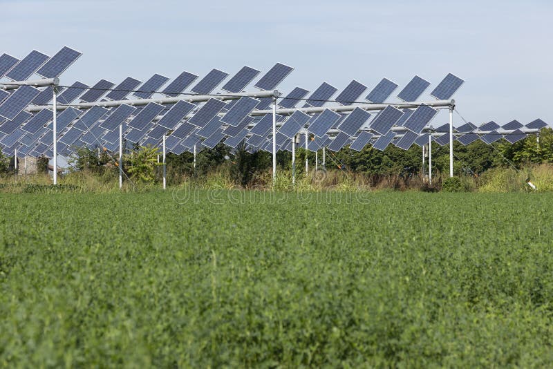 Agrivoltaic stock photo. Image of soil, alternative - 228971410