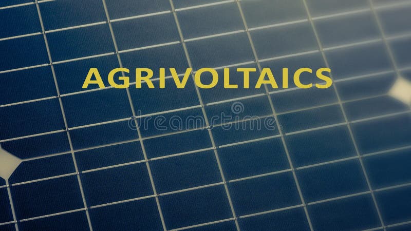 Agrivoltaics stock photo. Image of industrial, combines - 358849452