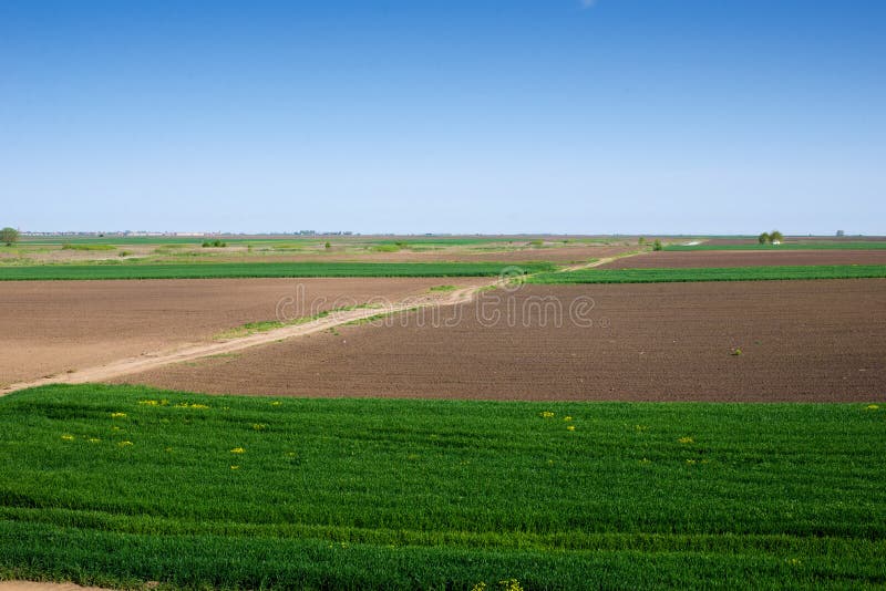 Agro field with a road stock photo. Image of field, agricultural - 69860186