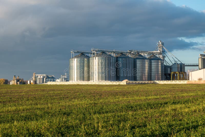 Agro-processing Plant for Processing and Silos for Drying Cleaning and ...