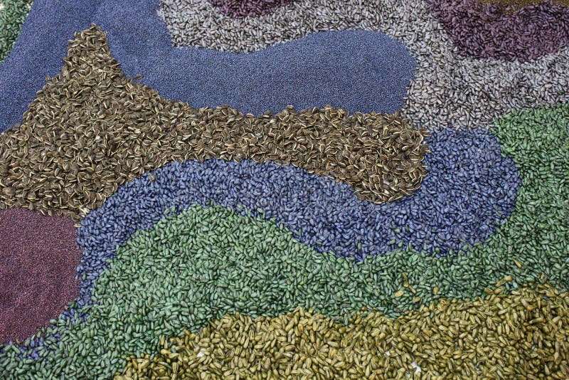 Agro seeds stock image. Image of lens, collection, green - 31268703