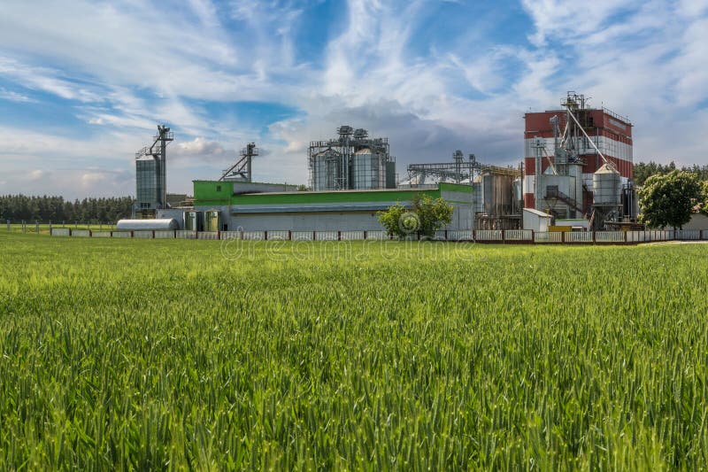 Agro Silos on Agro-industrial Complex and Grain Drying and Seeds ...