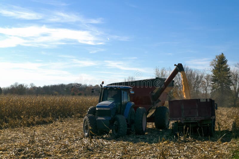 Agrobusiness stock photo. Image of grain, growth, food - 26622446