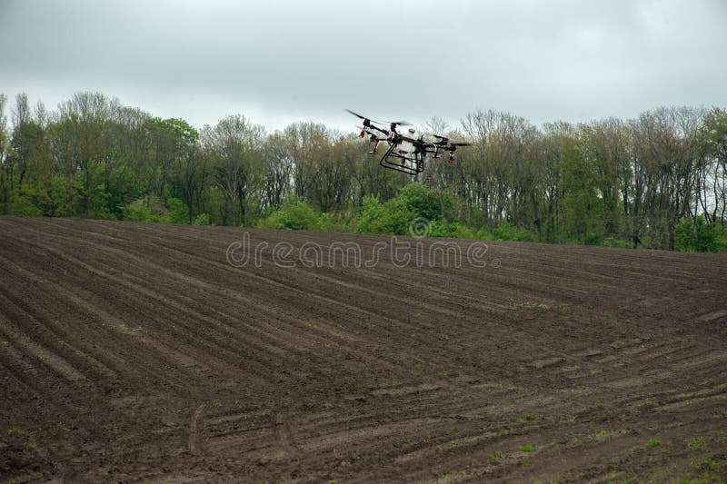 Agrodrone Sprayer Sprays Fields, Precision Farming, Agriculture Stock ...