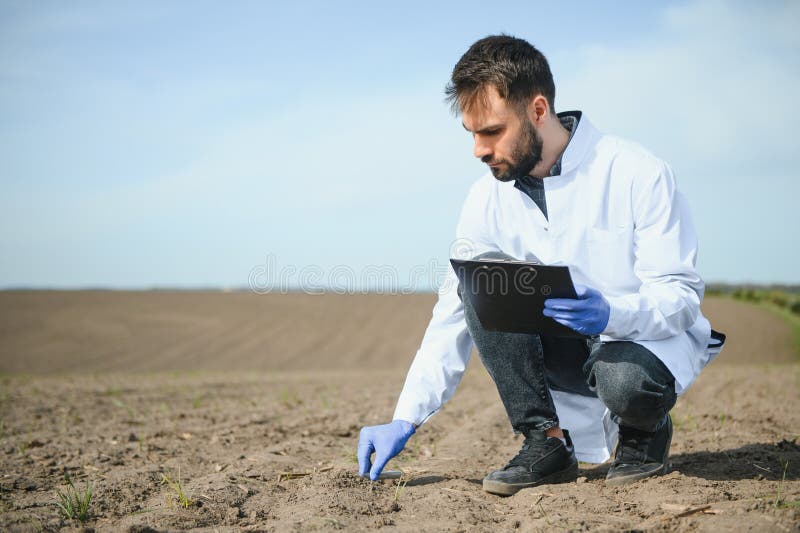 Agronomist Studying Samples of Soil in Field Stock Image - Image of ...