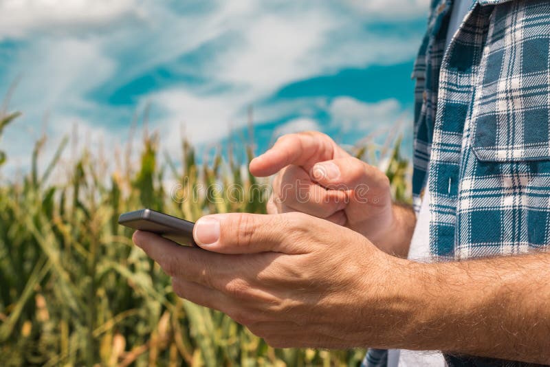 Man Typing a Text Message on a Smartphone Stock Photo - Image of cell ... Man Typing a Text Message on a Smartphone Stock Photo - Image of cell ...