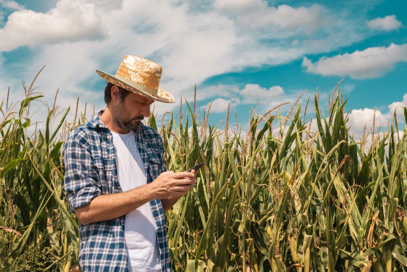 Man Typing a Text Message on a Smartphone Stock Photo - Image of cell ... Man Typing a Text Message on a Smartphone Stock Photo - Image of cell ...