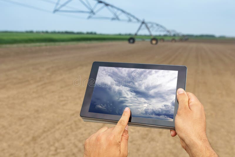 Agronomist Using Tablet Computer. Irrigation System Stock Image - Image ...