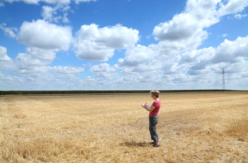Agronomy stock image. Image of horizon, farmland, farmer - 25794147