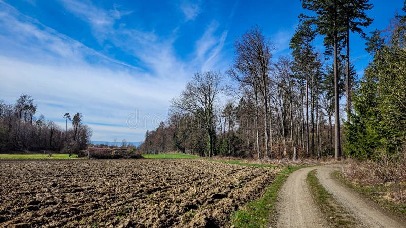 Agronomy, Spring Work in the Field, Preparation of Land for Sowing ...