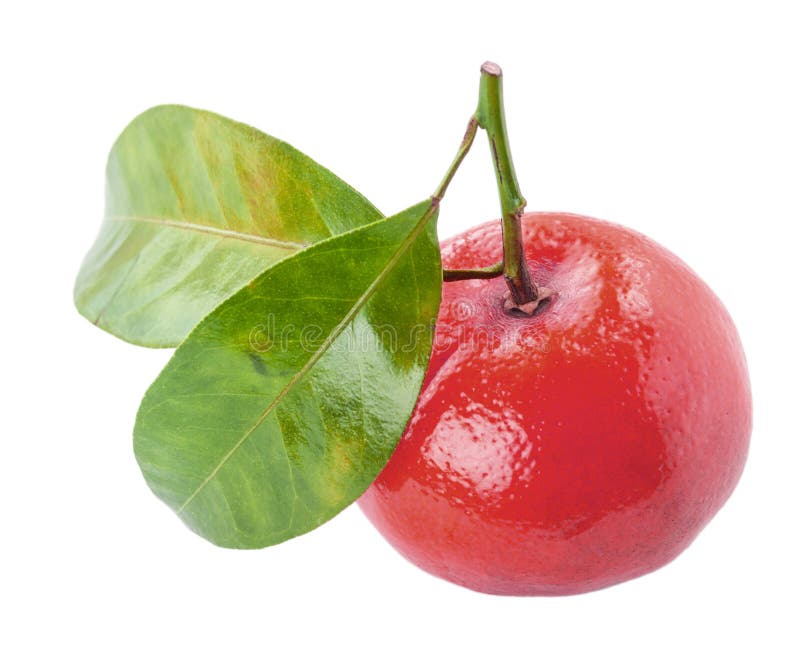 Agrumes rouges. image stock. Image du cercle, petit, sain - 30953317