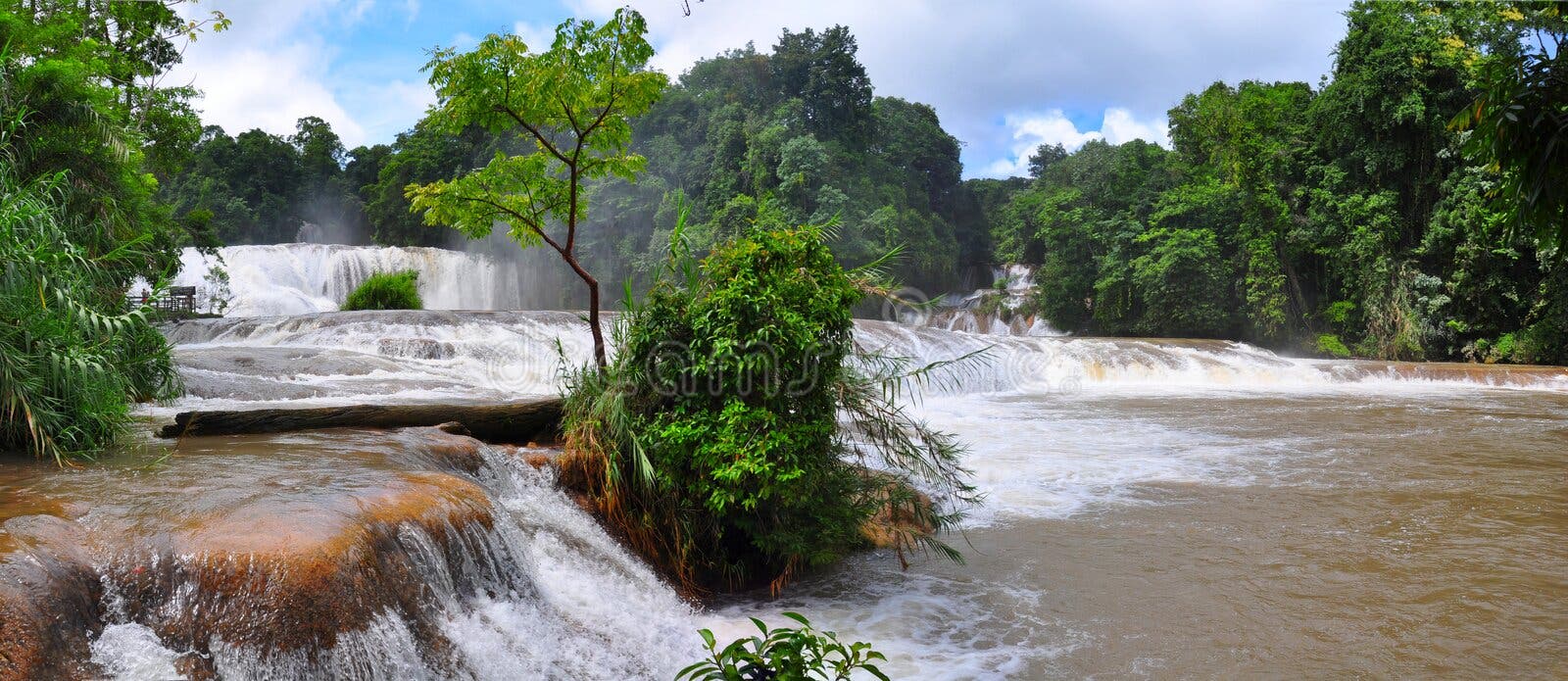 Waterworld, Canaima, Venezuela Stock Image - Image of natural, bush ...