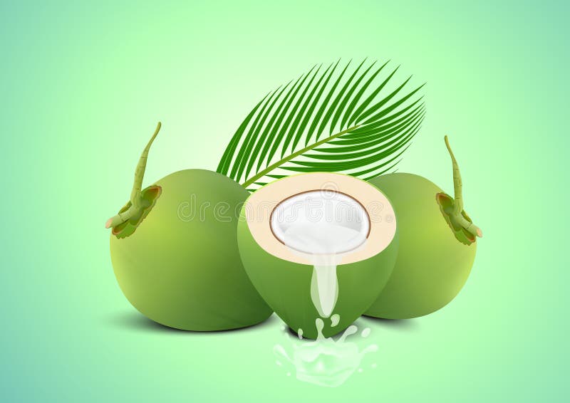 Agua De Coco Beber Coco Verde Aislado En El Vector De Fondo Verde ...